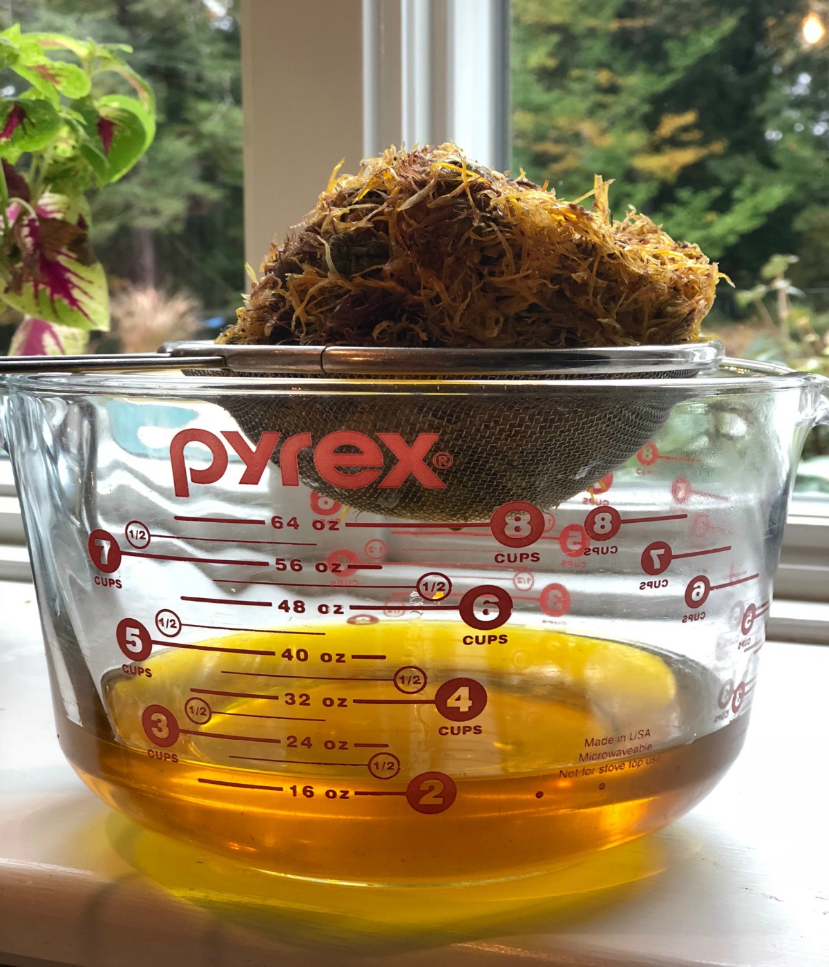 How To Make & Use Calendula Oil | It's My Sustainable Life