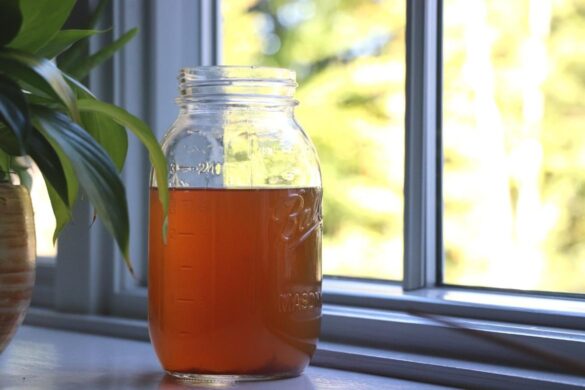 Continuous Brew Kombucha