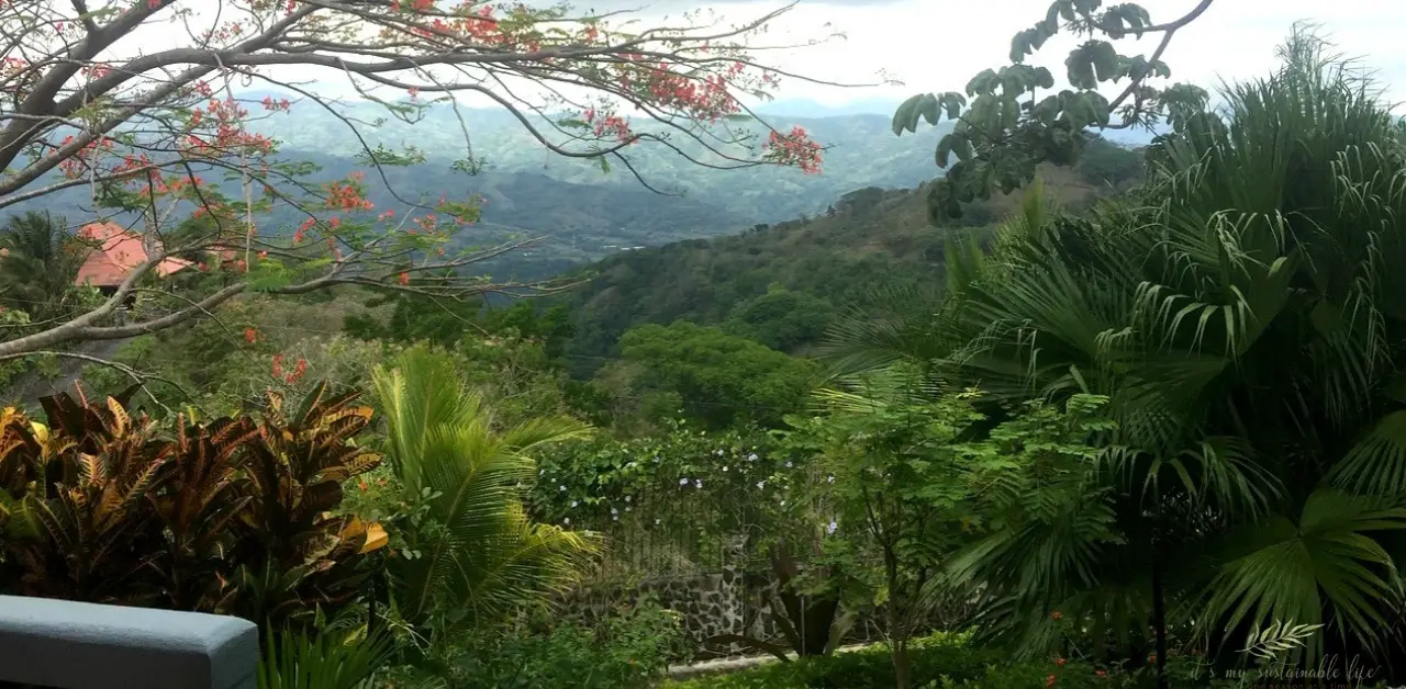 Top 5 Reasons Why We Love Costa Rica & Why You will Too!