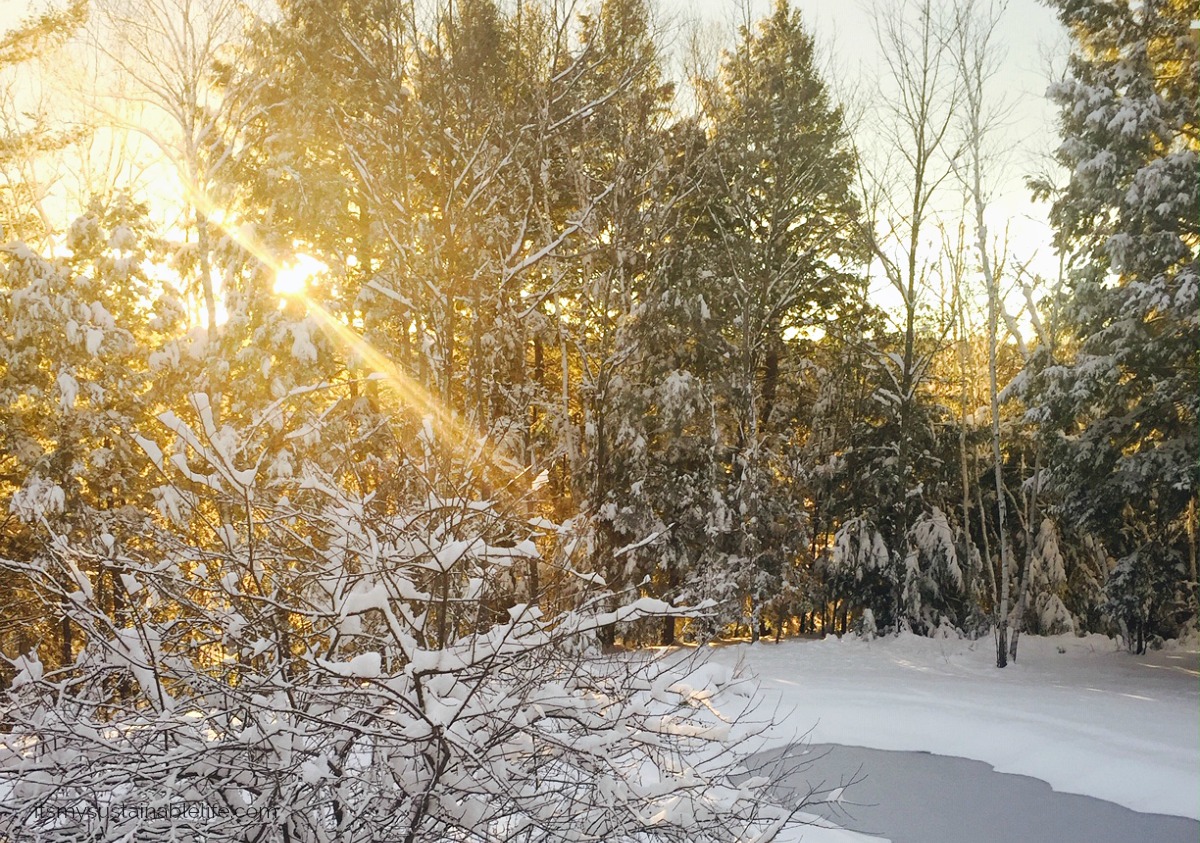 Celebrating Winter Solstice!