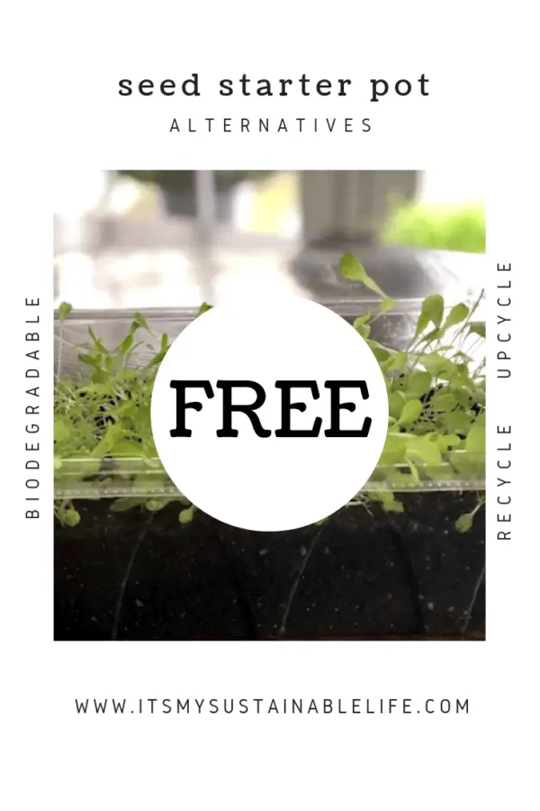 Alternatives For DIY Seed Planting Pots On The Cheap