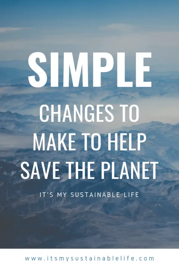 Changes You Can Make Today To Help Protect The Environment - It's My ...