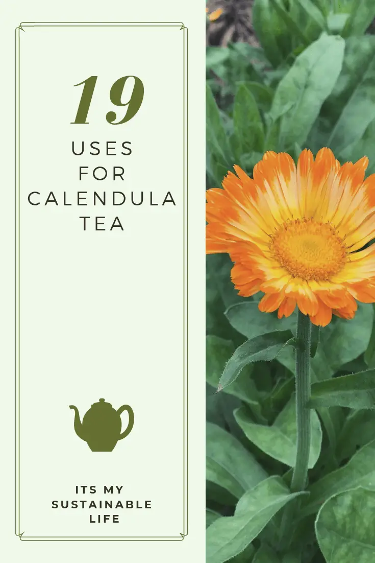 19 Uses For Calendula Tea