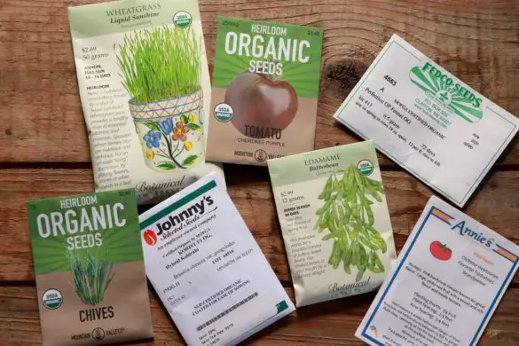 Reading & Understanding Seed Packets
