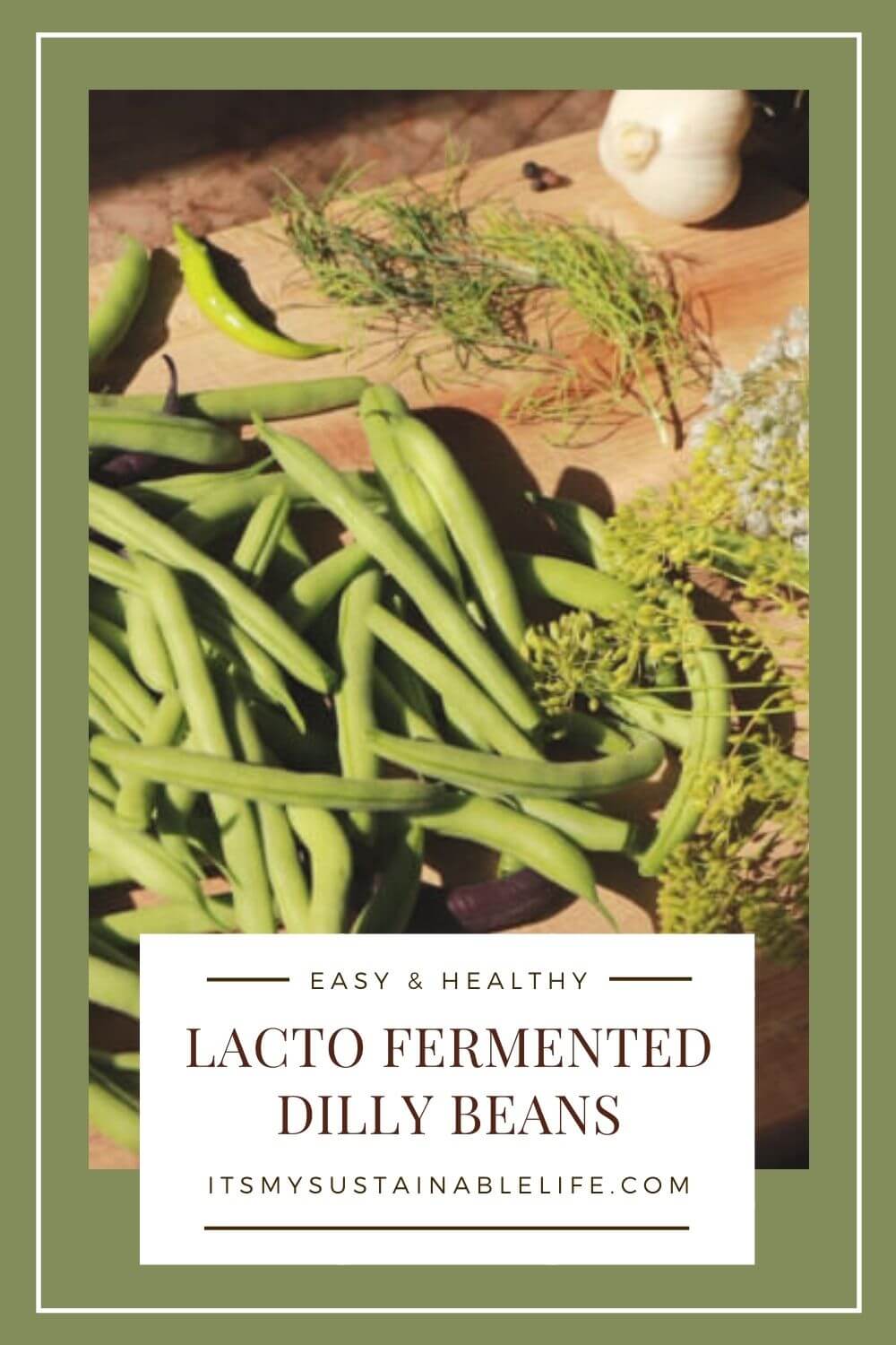 Lacto Fermented Dilly Beans