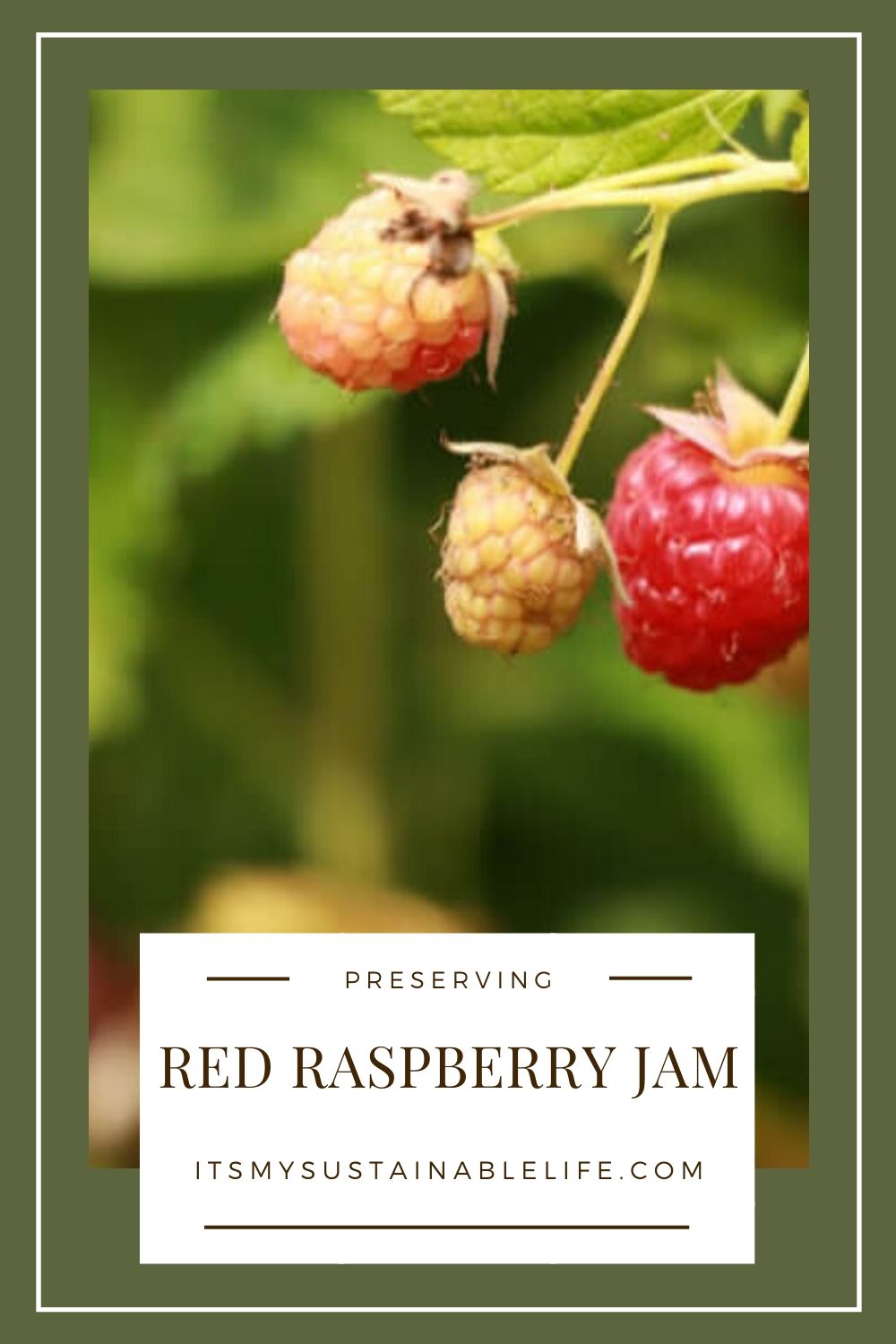 Red Raspberry Jam