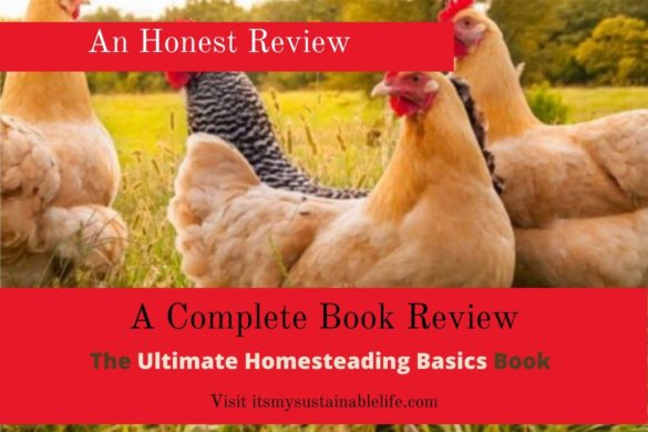 19 Terrific Homesteading Blogs You Don't Want To Miss