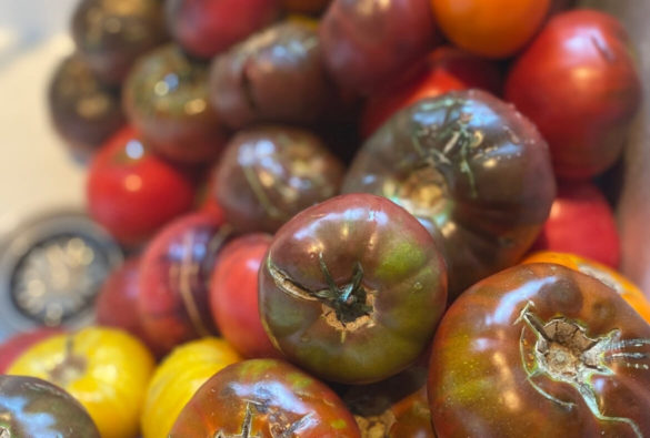 Blanching Tomatoes