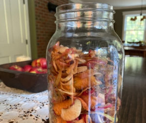 Apple Scrap Vinegar