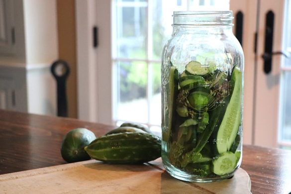 How To Dry Basil! - It's My Sustainable Life