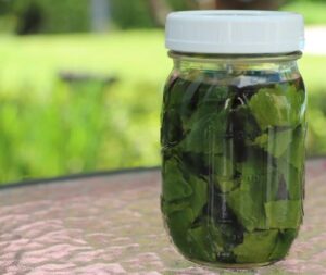 Violet Tincture - How To Make And Use! - It's My Sustainable Life
