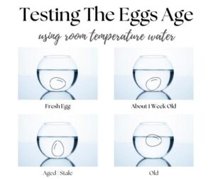 How To Test Eggs For Freshness - It's My Sustainable Life